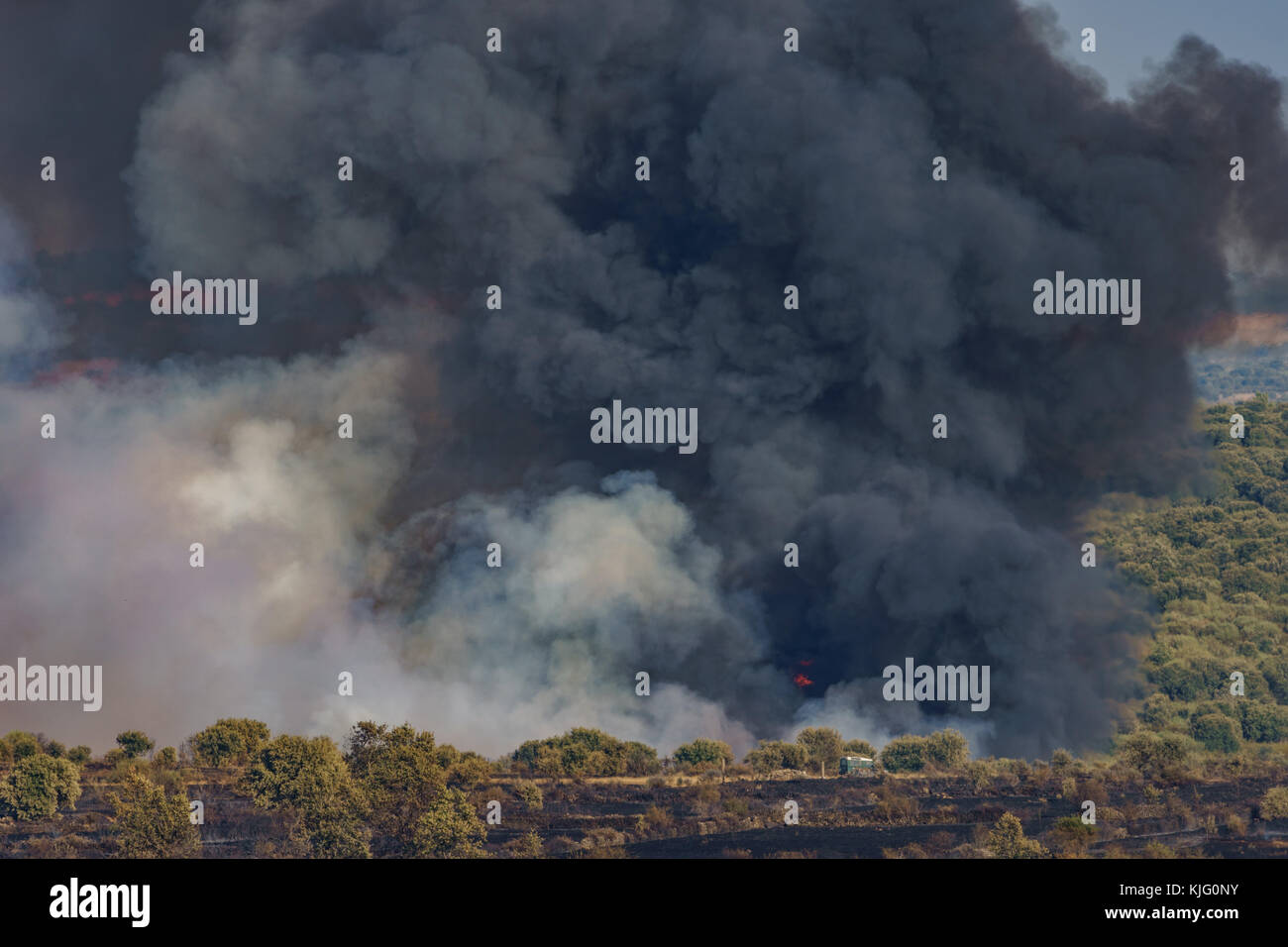 Hot summer fire, huge column of dark smoke Stock Photo - Alamy