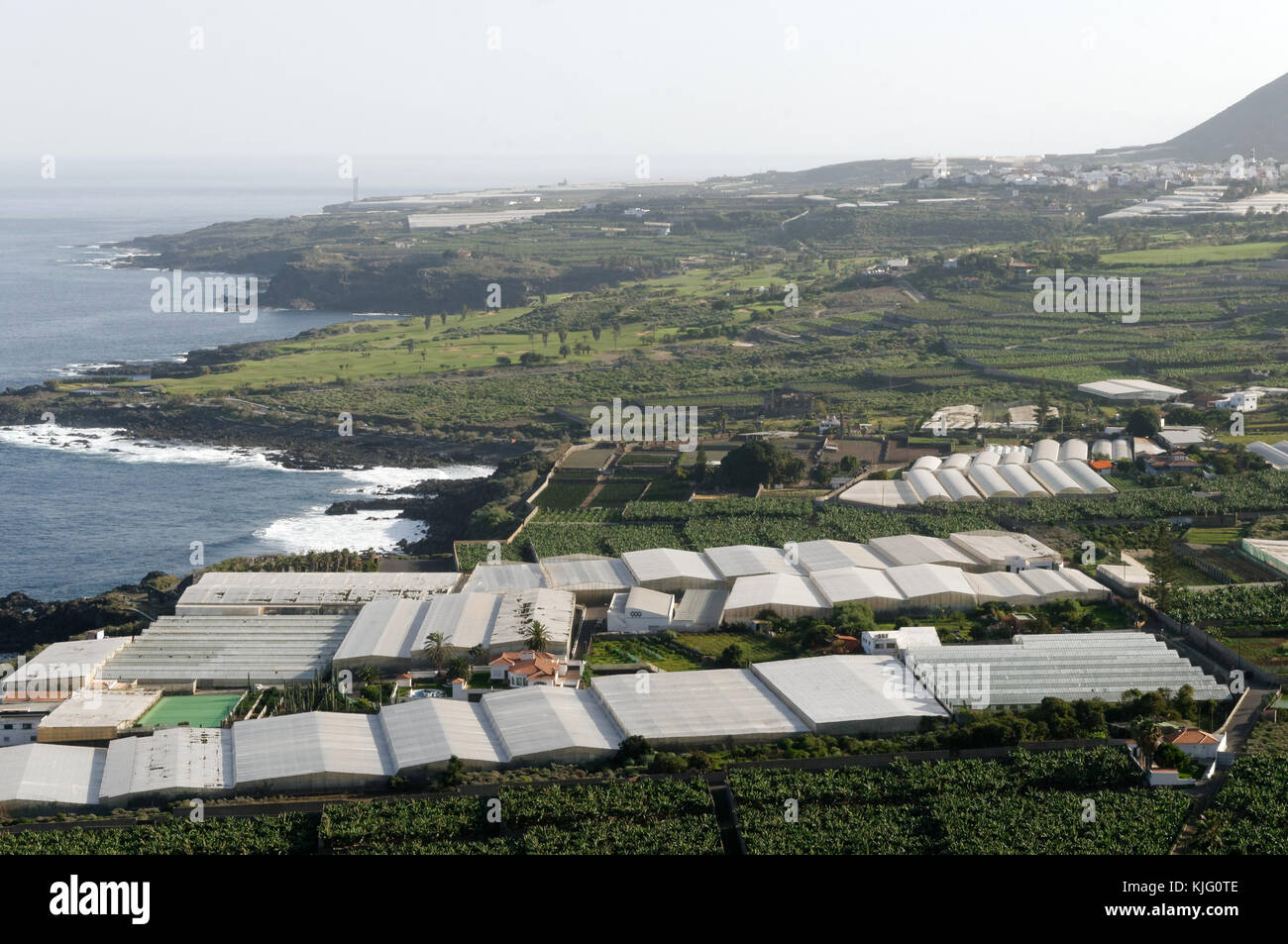 banana plantations tenerife canary islands plantation agriculture ...