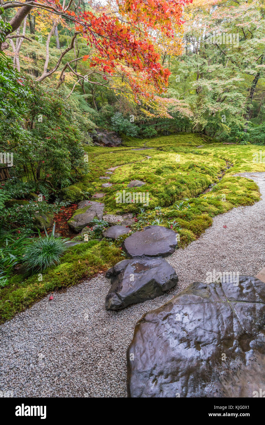 Momiji (Maple tree), Autnum leaves, fall foliage and Karesansui (stone ...