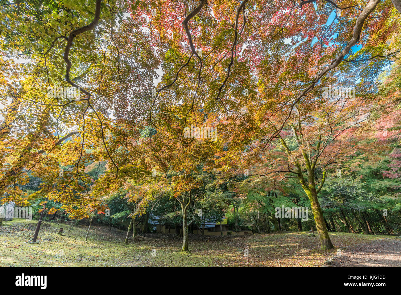 Mount arashi hi-res stock photography and images - Alamy