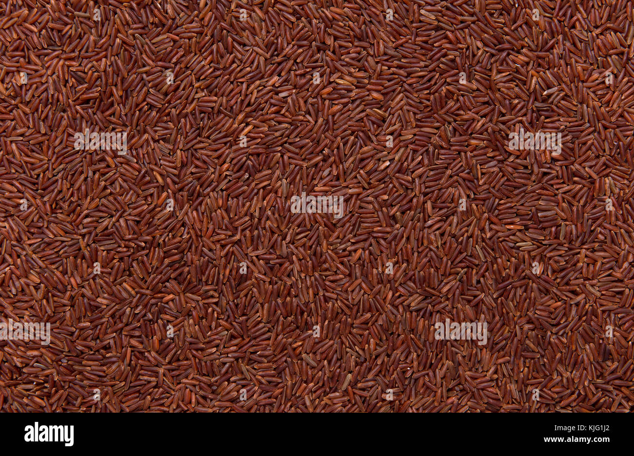 red wild rice as background, close up of grains, background use Stock ...