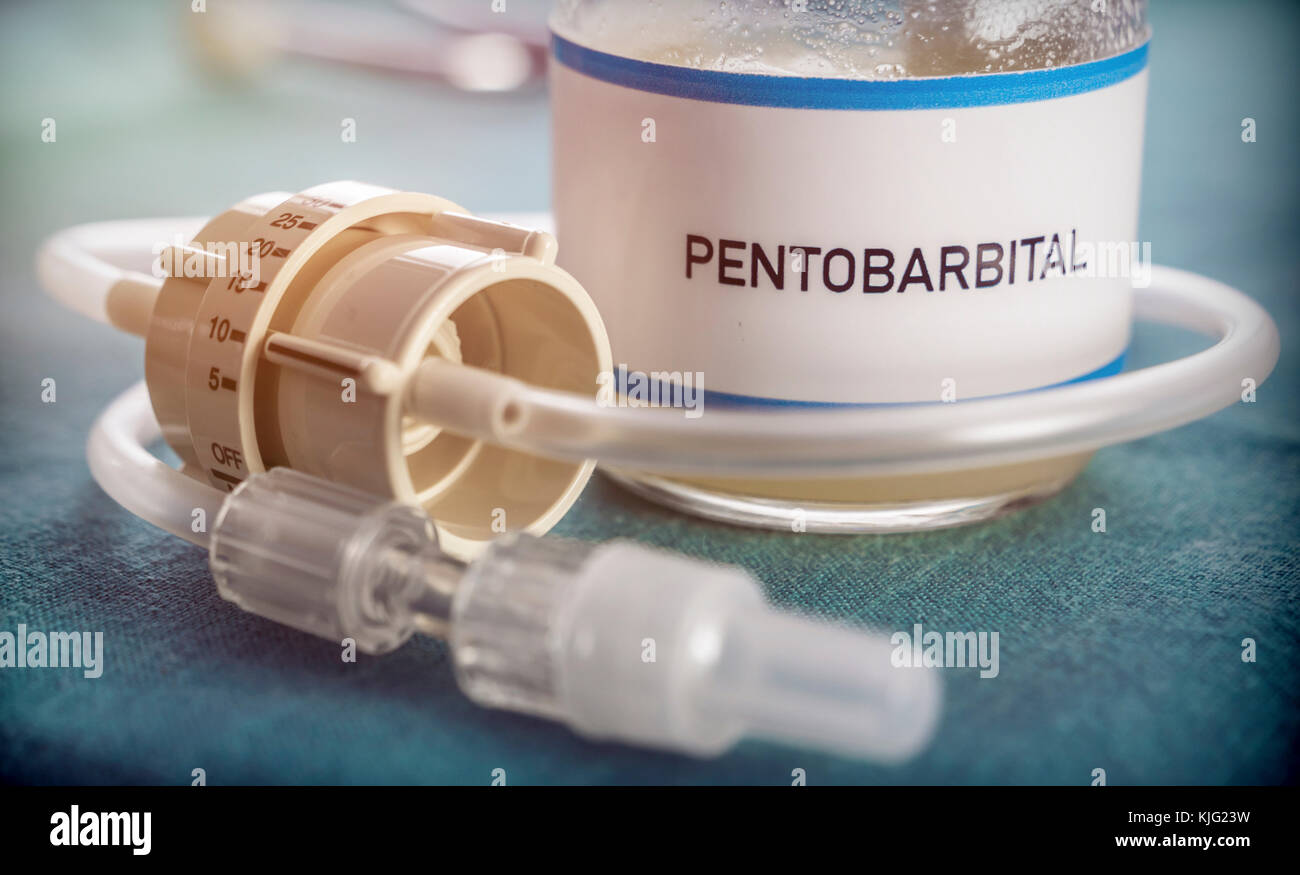 Pentobarbital hi-res stock photography and images - Alamy