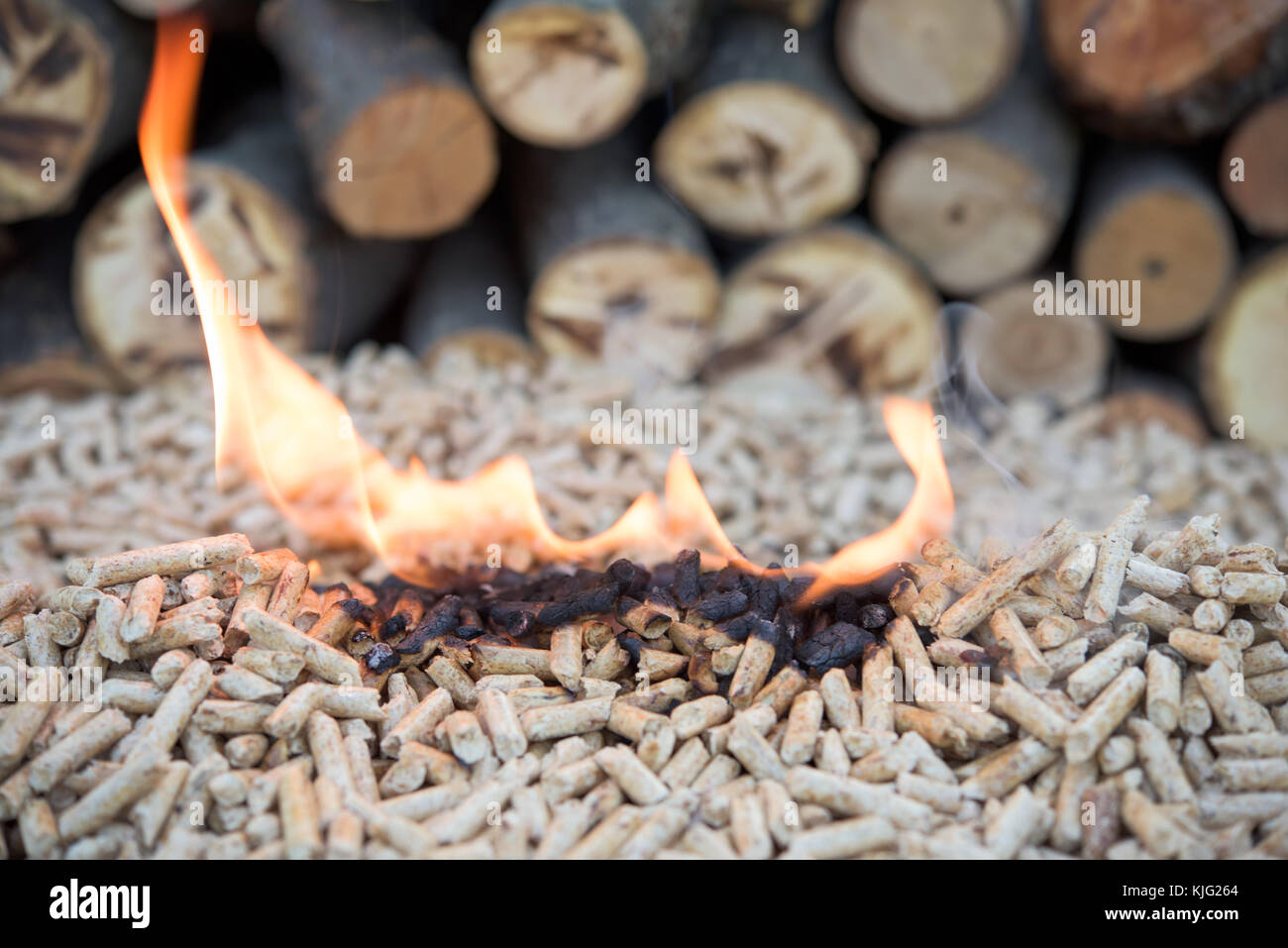 Pile of pine pellets in front wooden wall Stock Photo - Alamy