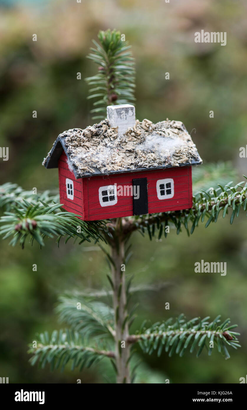 House miniature on fir tree. Small red house on tree branch Stock Photo ...