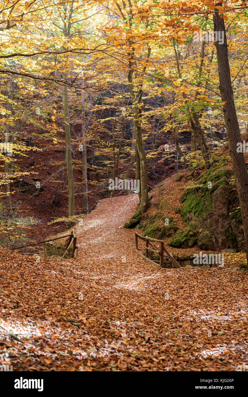 Small path with bridge in autumn park Stock Photo - Alamy