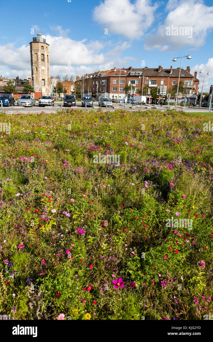 Municipal flowers beds planted with a pollinator flower mix to help ...