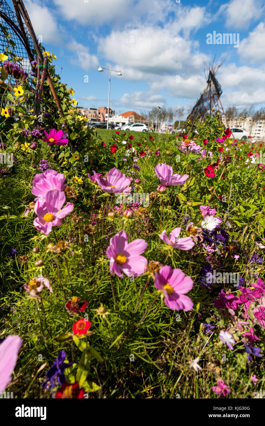 Municipal flowers beds planted with a pollinator flower mix to help ...