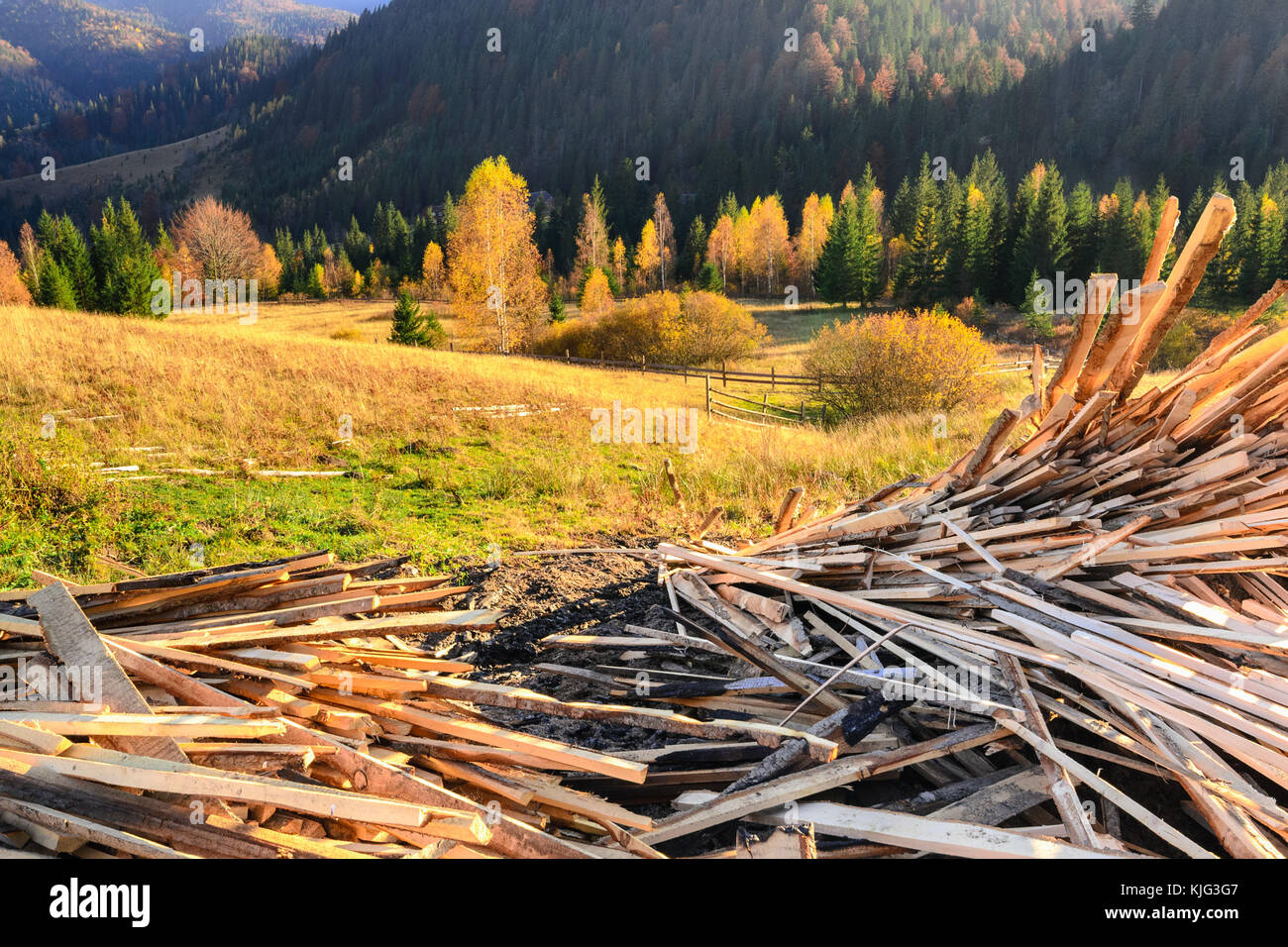 Wood waste hi-res stock photography and images - Alamy