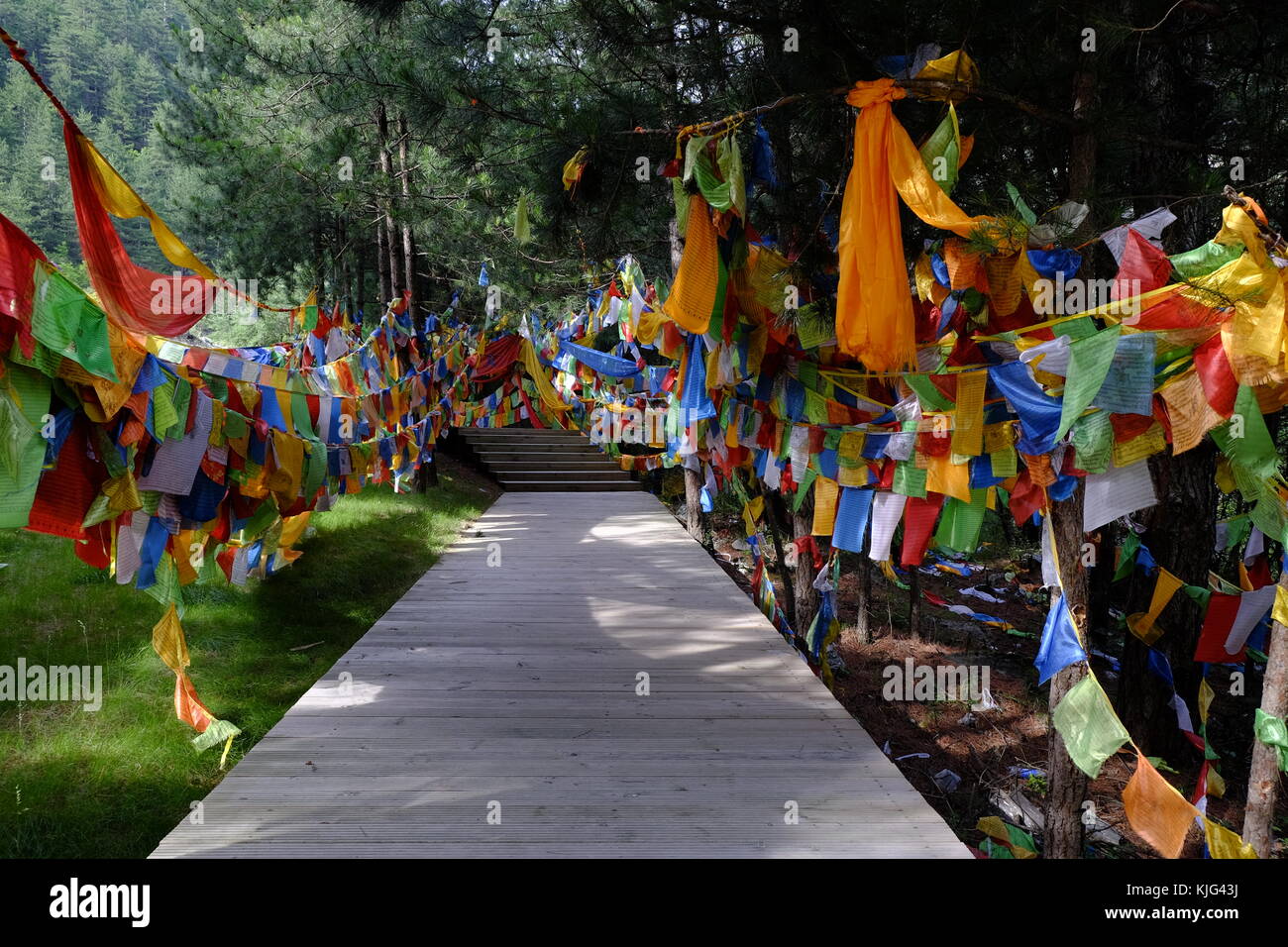 Praying flags and walking path at Jiuzhaigou valley Stock Photo - Alamy