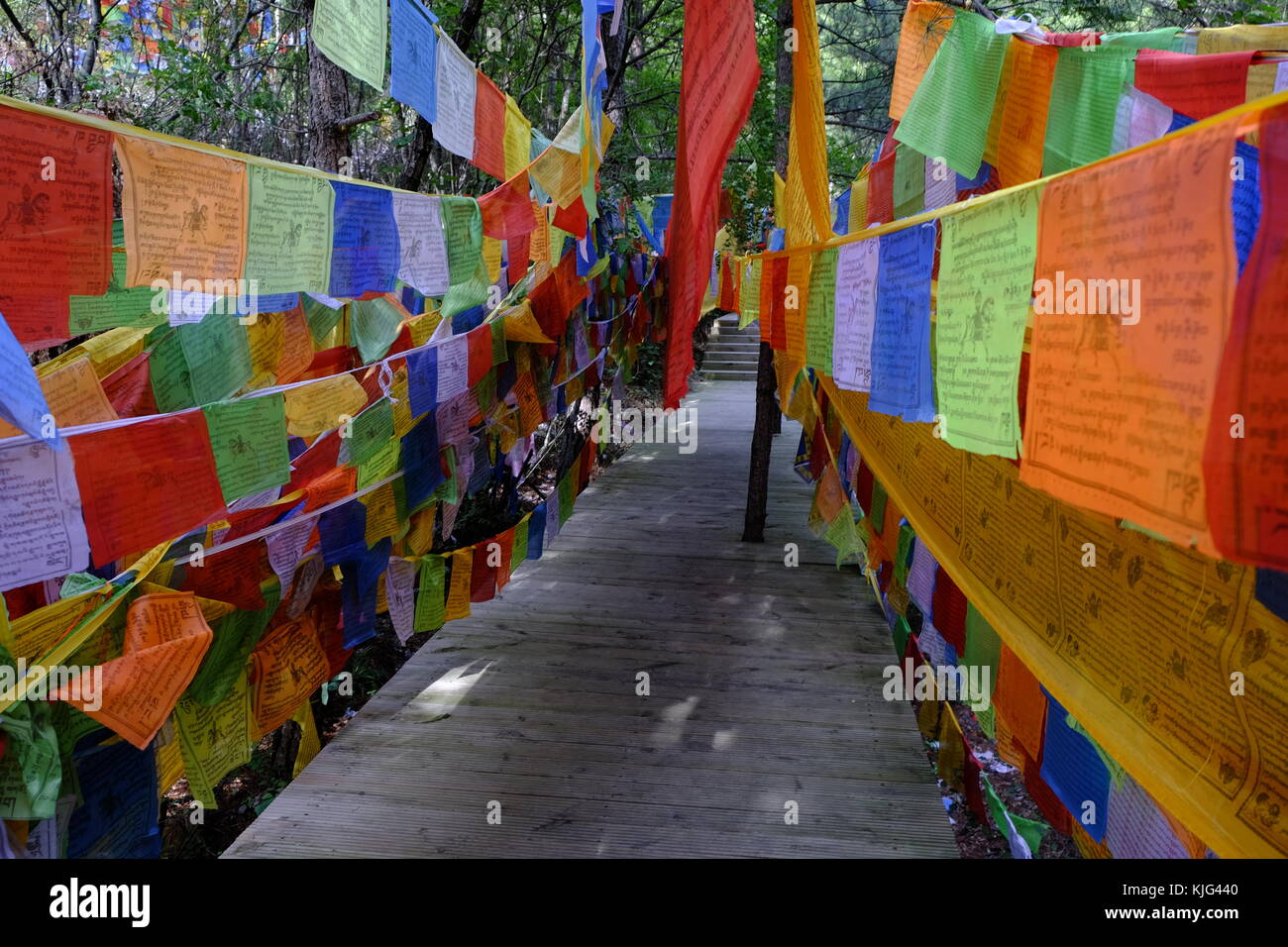 Praying flags and walking path at Jiuzhaigou valley Stock Photo - Alamy