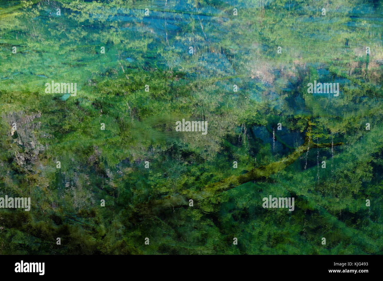 Jiuzhaigou national park five flower hi-res stock photography and ...