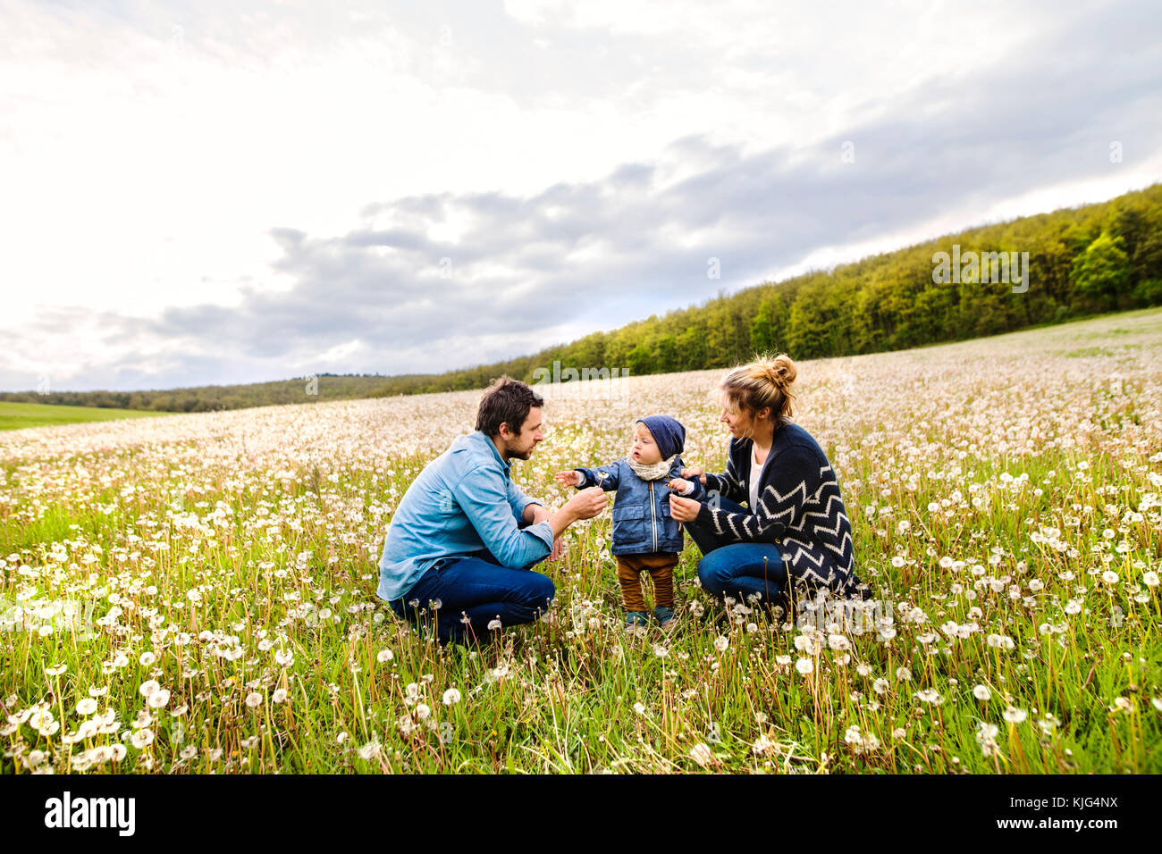 Cute little boy with parents in dandelion field Stock Photo - Alamy