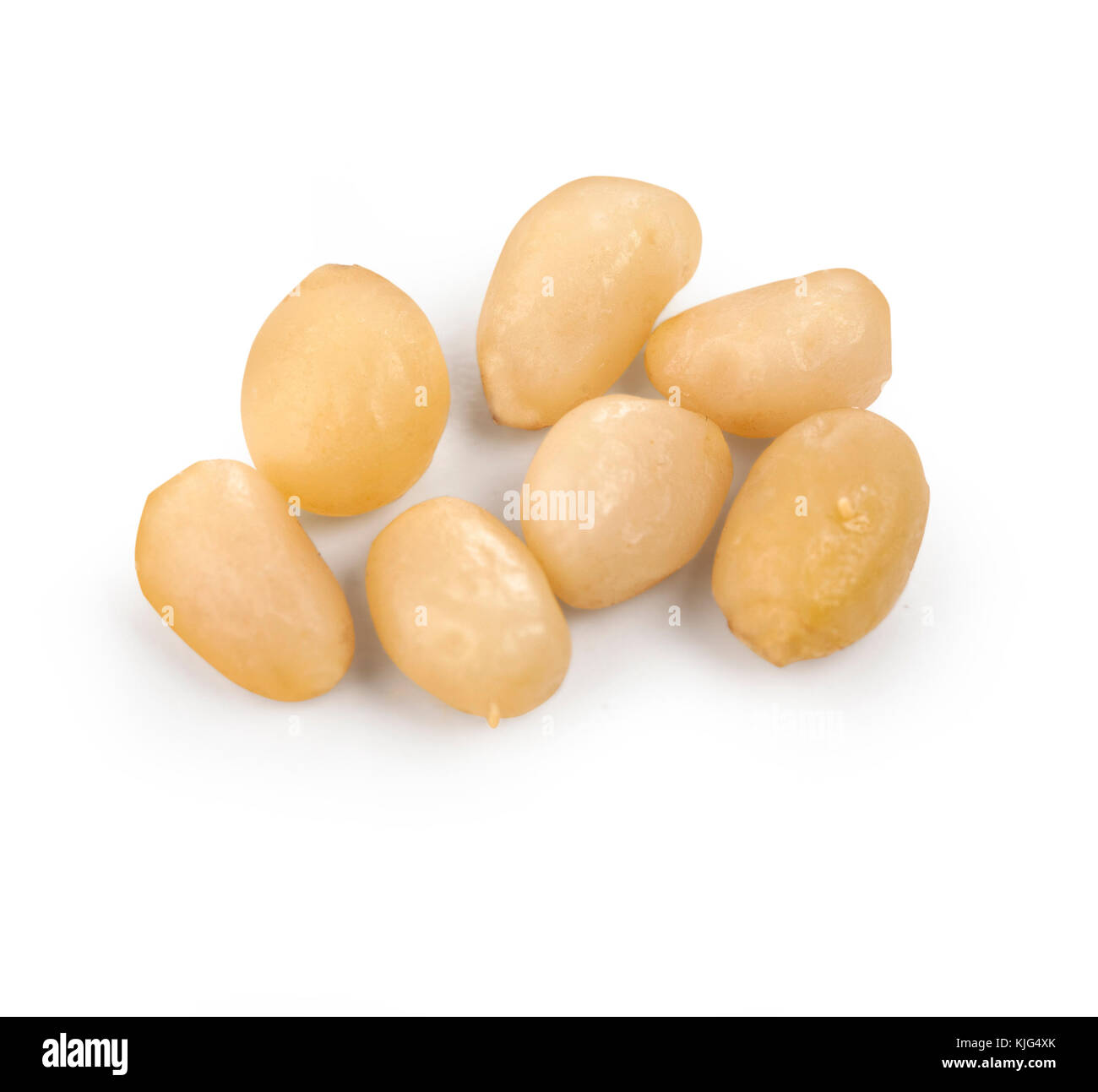 Pile of pine nuts in isolated white background with clipping path Stock ...