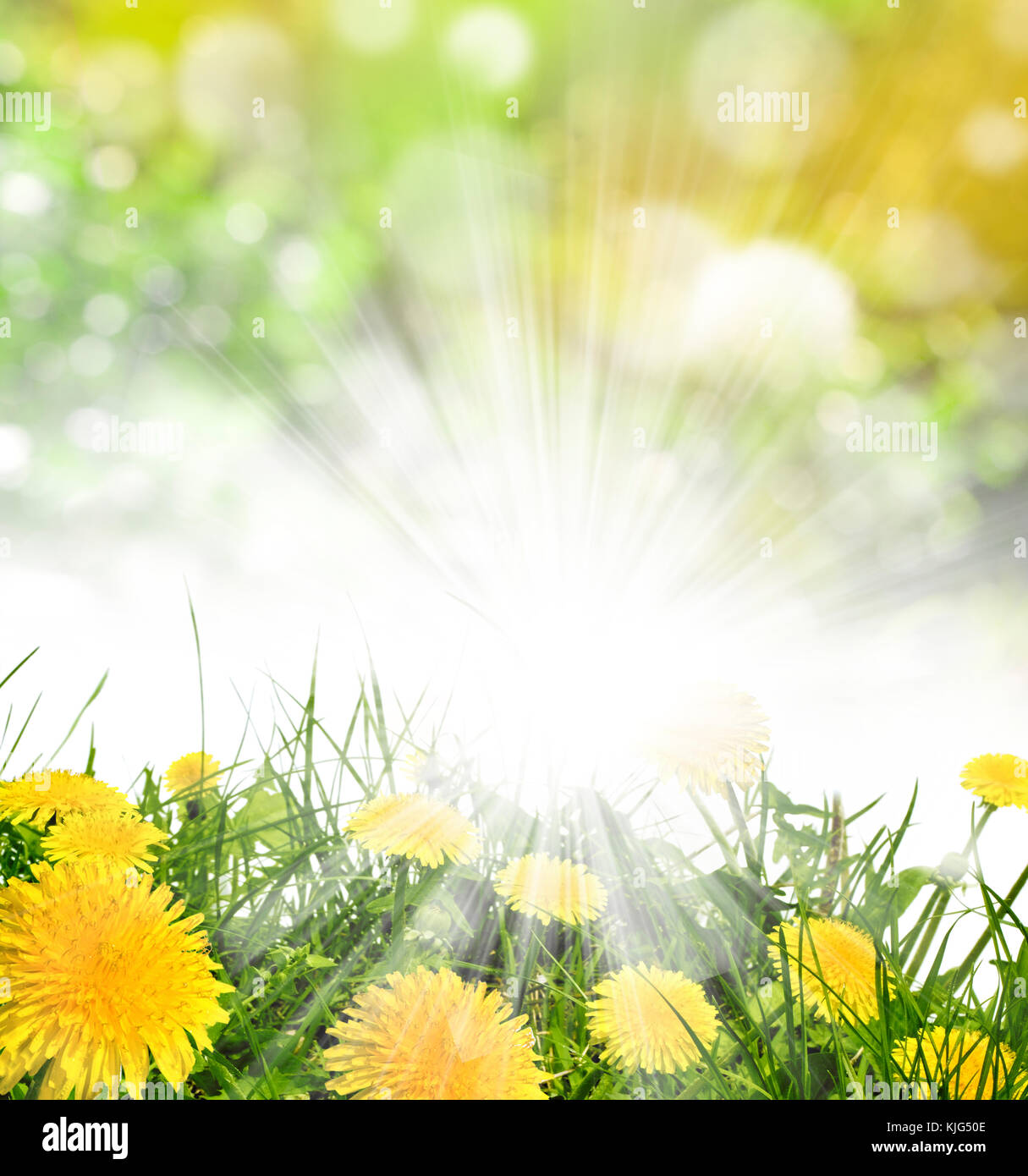 Under the bright sun. Abstract natural backgrounds Stock Photo - Alamy