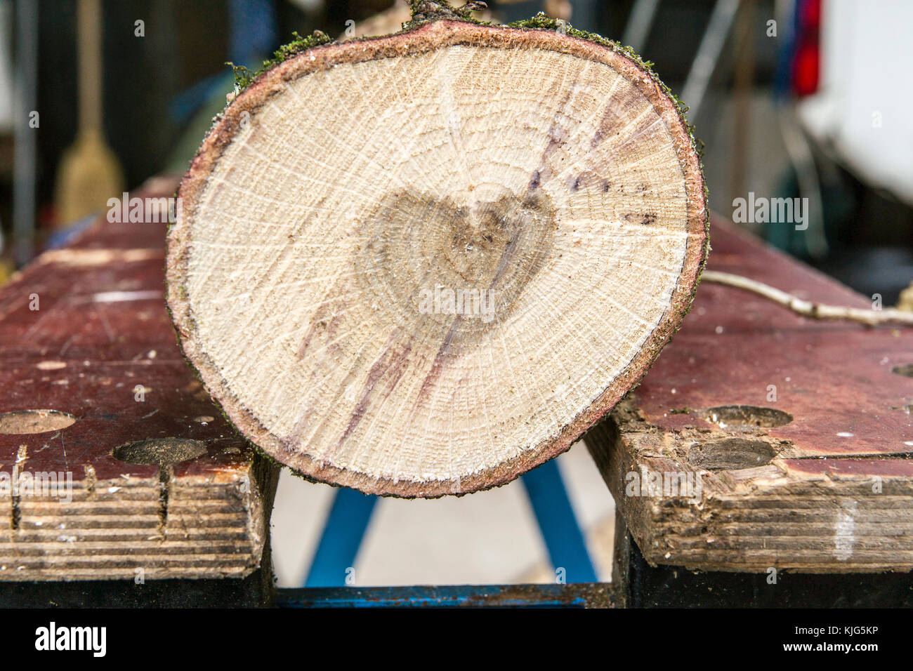 Sawn log with a heart in the middle Stock Photo - Alamy