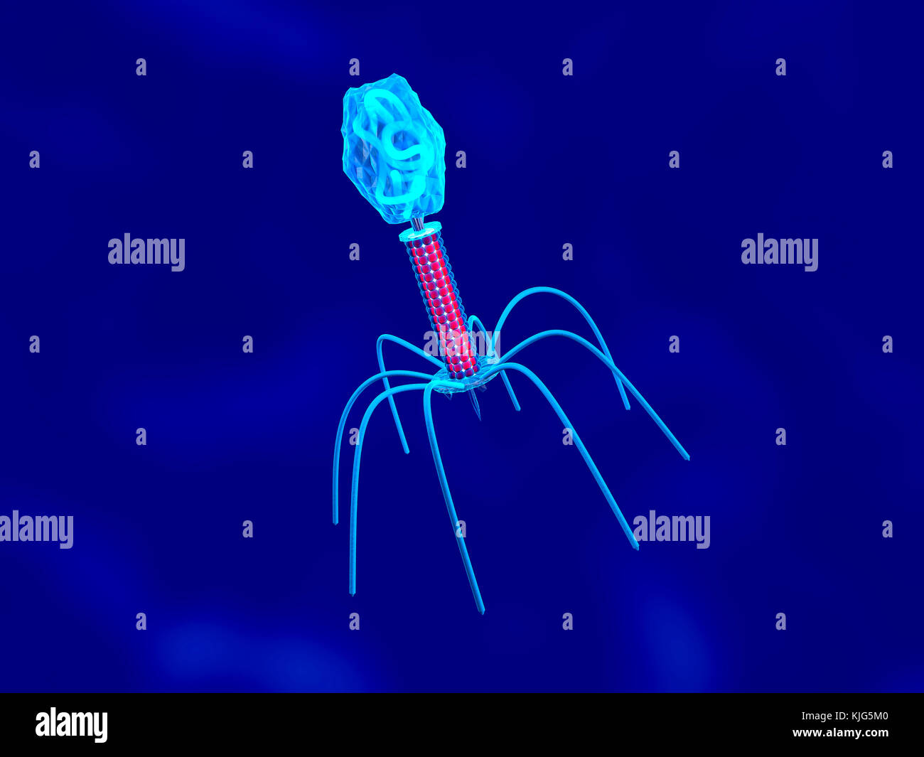 Bacteriophage hi-res stock photography and images - Alamy