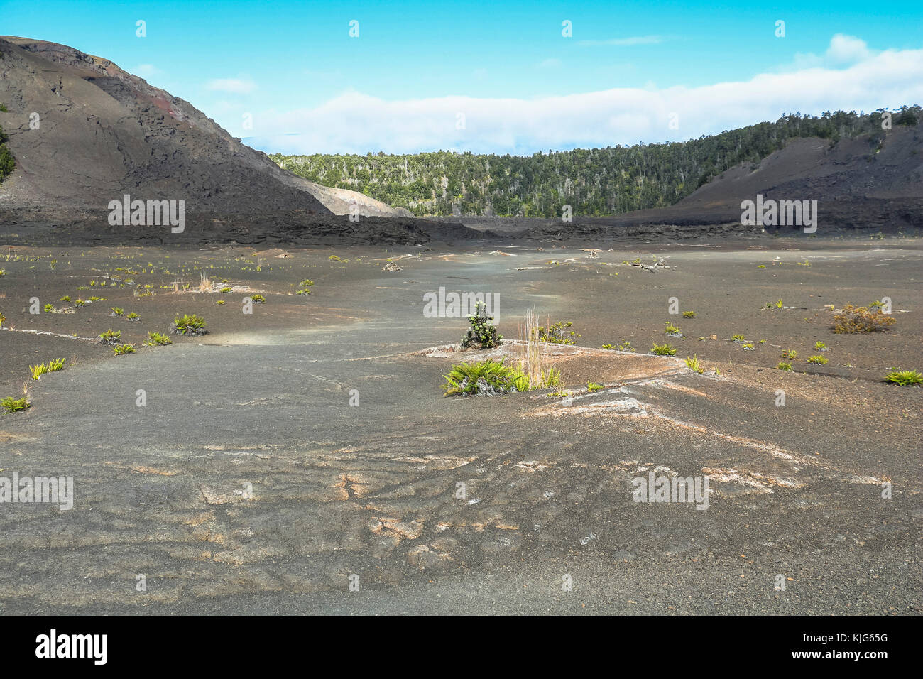 Walk on cold lava in Volcano National Park, Hawaii Stock Photo - Alamy