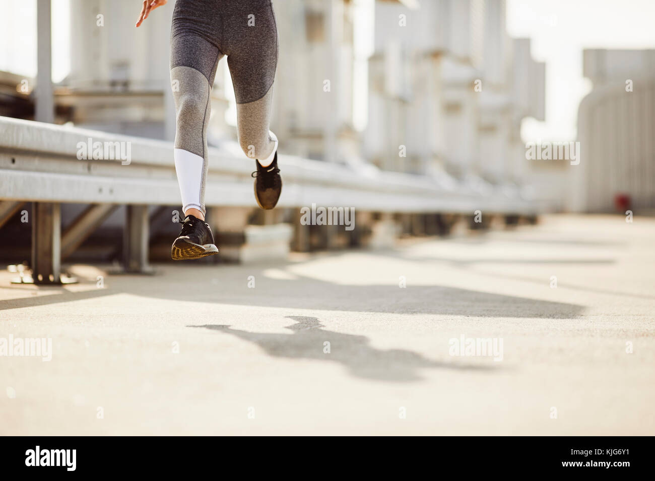 18 legs hi-res stock photography and images - Alamy