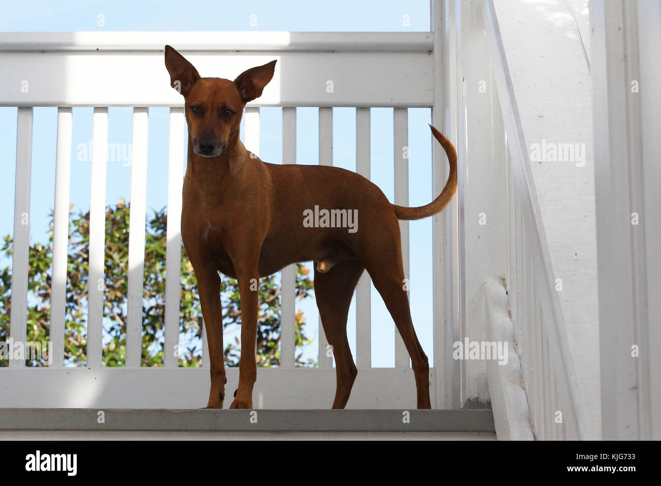 Blue and white steps hi-res stock photography and images - Alamy