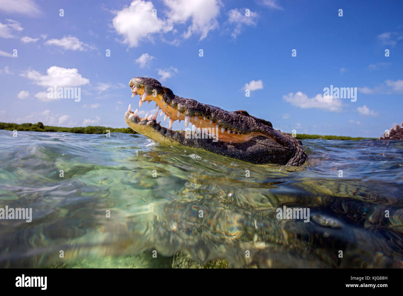 Chinchorro hi-res stock photography and images - Alamy