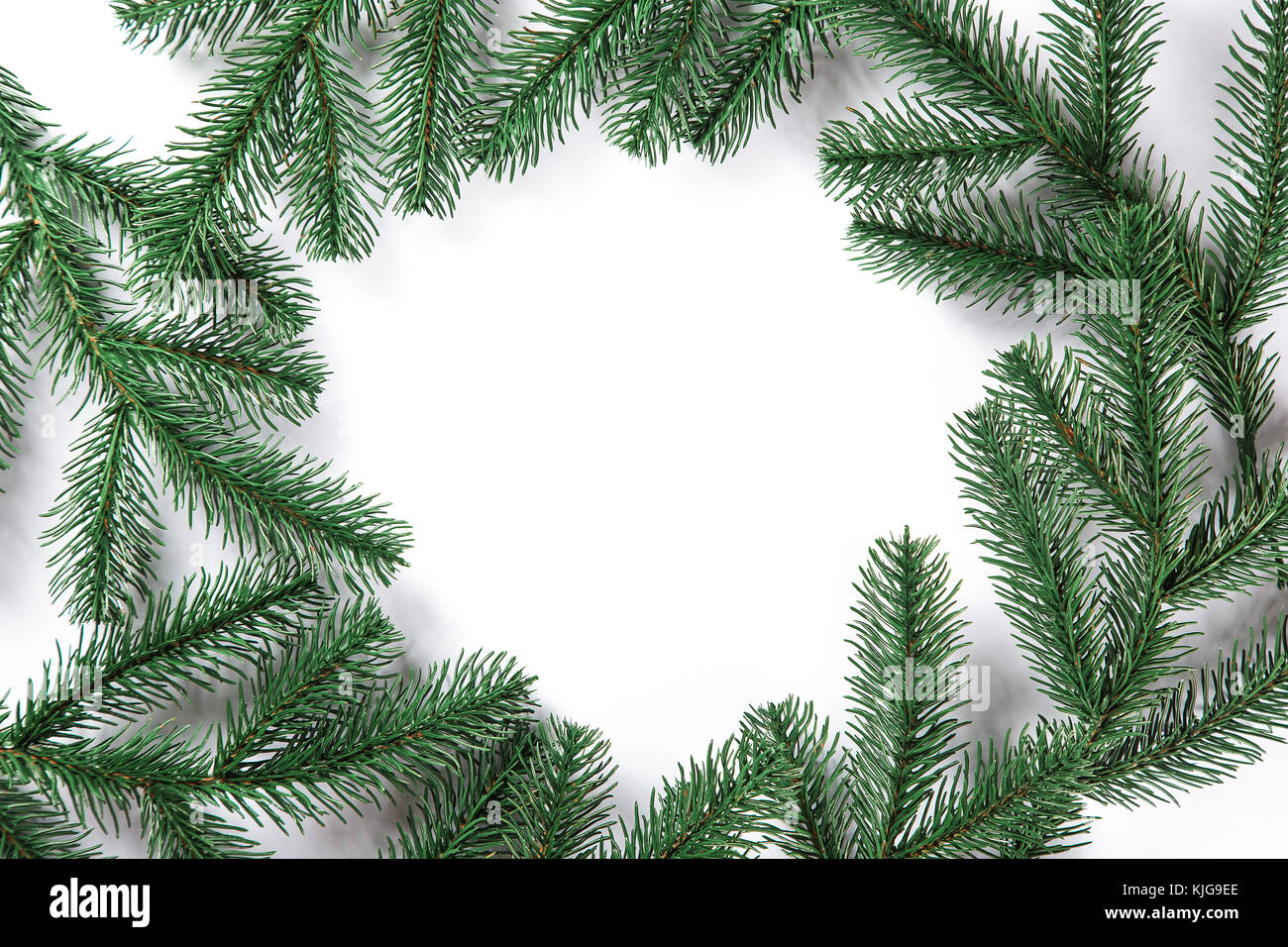 Christmas fir tree frame on white background. Free space Stock Photo ...