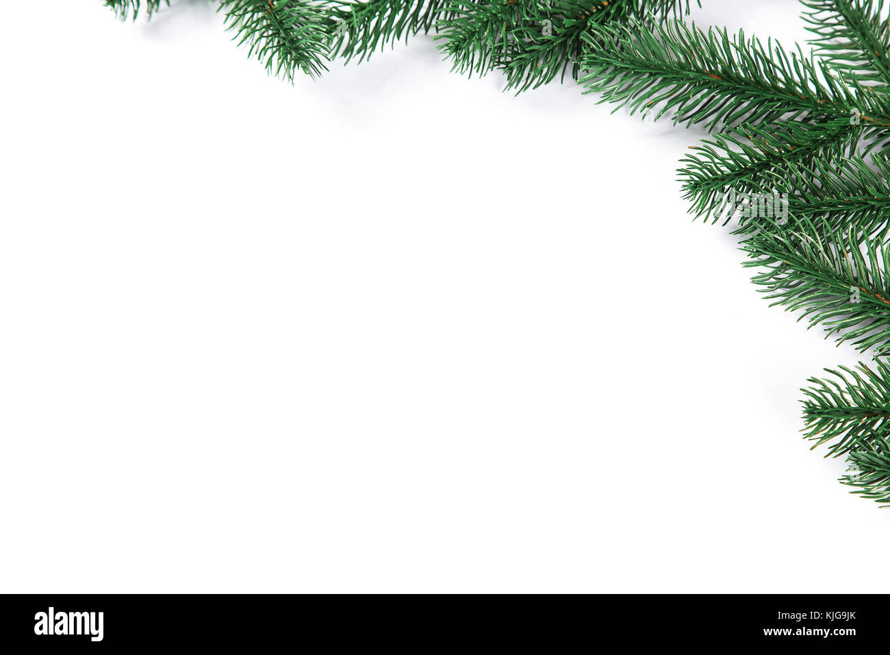 Tree frame hi-res stock photography and images - Alamy