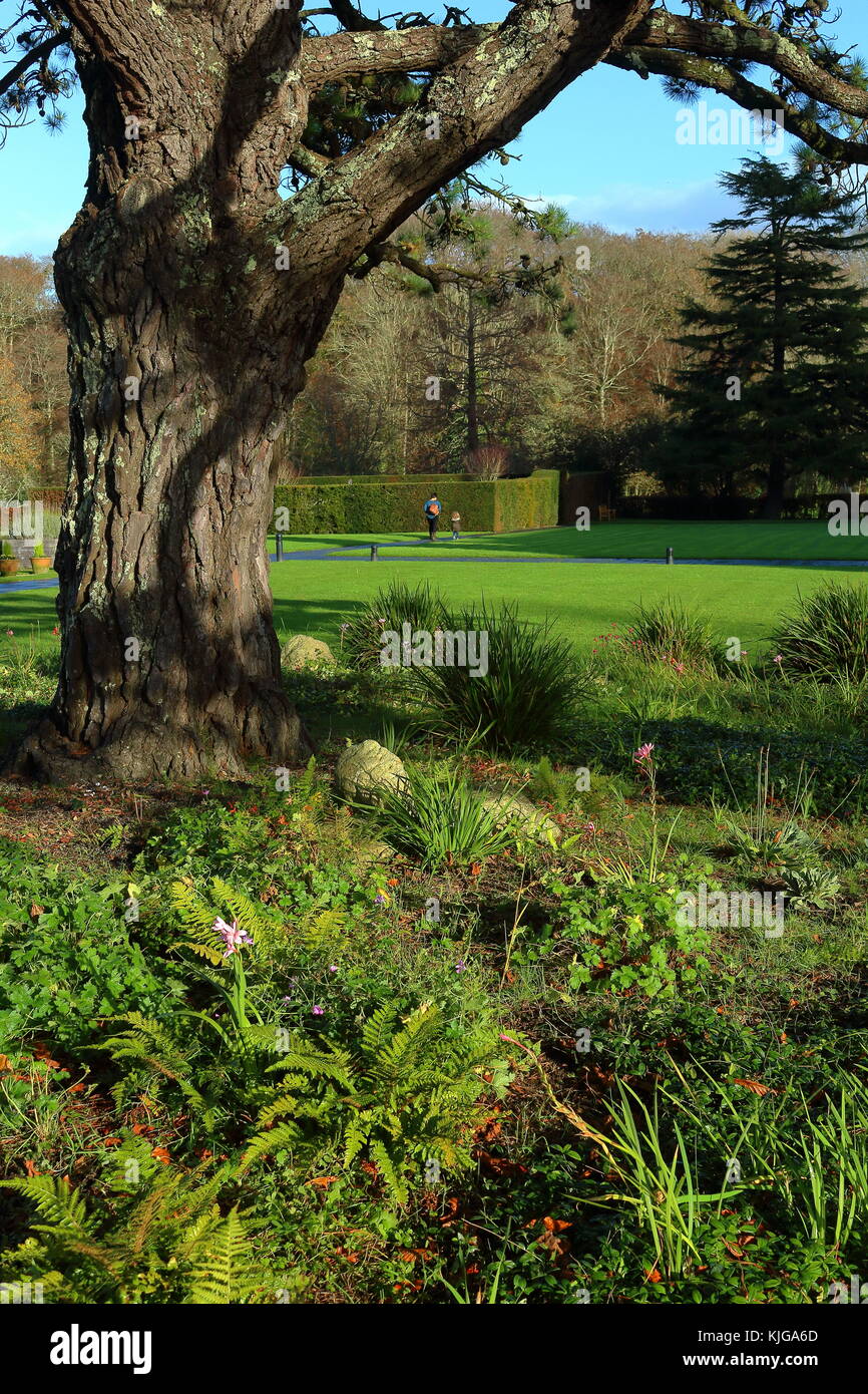 Peaceful grounds of Buckfast Abbey with a woman and girl enjoying a ...