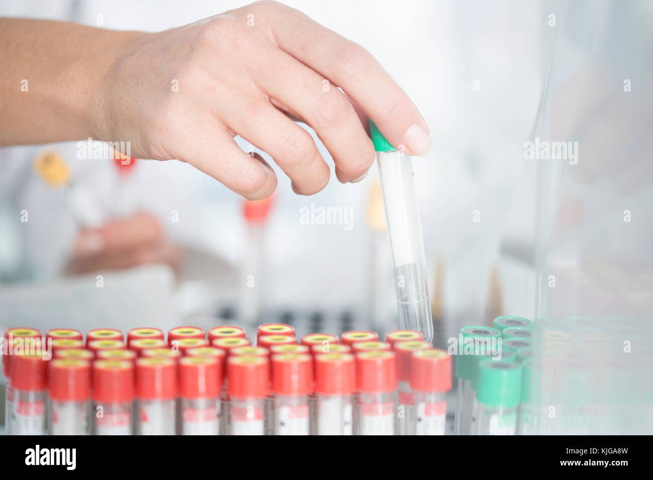 Close-up of lab technician taking test tube from rack in laboratory ...