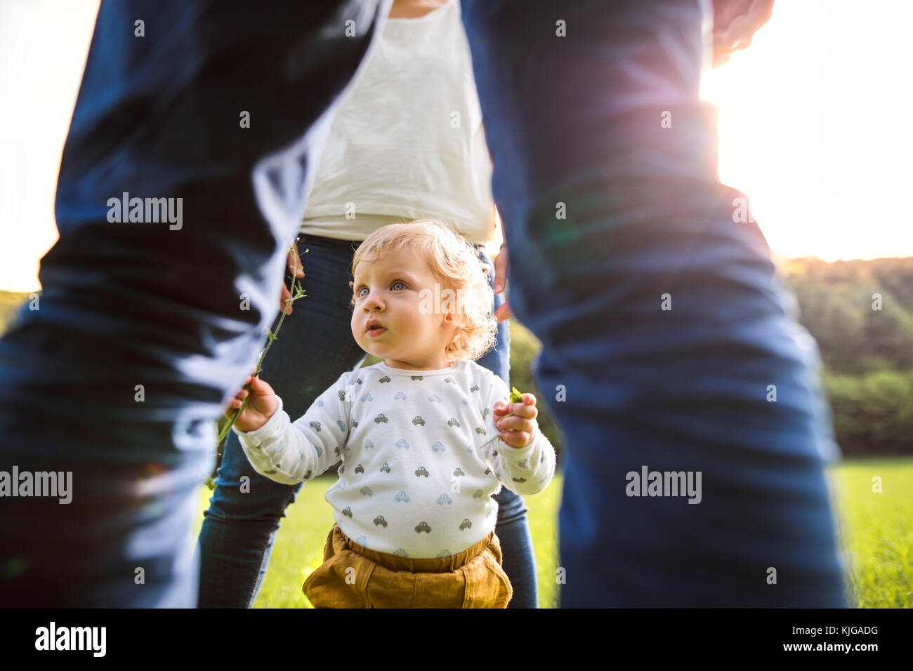 Cute little boy with parents on meadow Stock Photo - Alamy