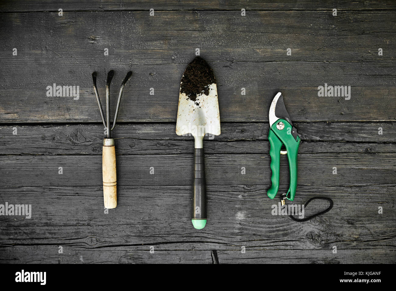 Three gardening tools on dark wood Stock Photo - Alamy