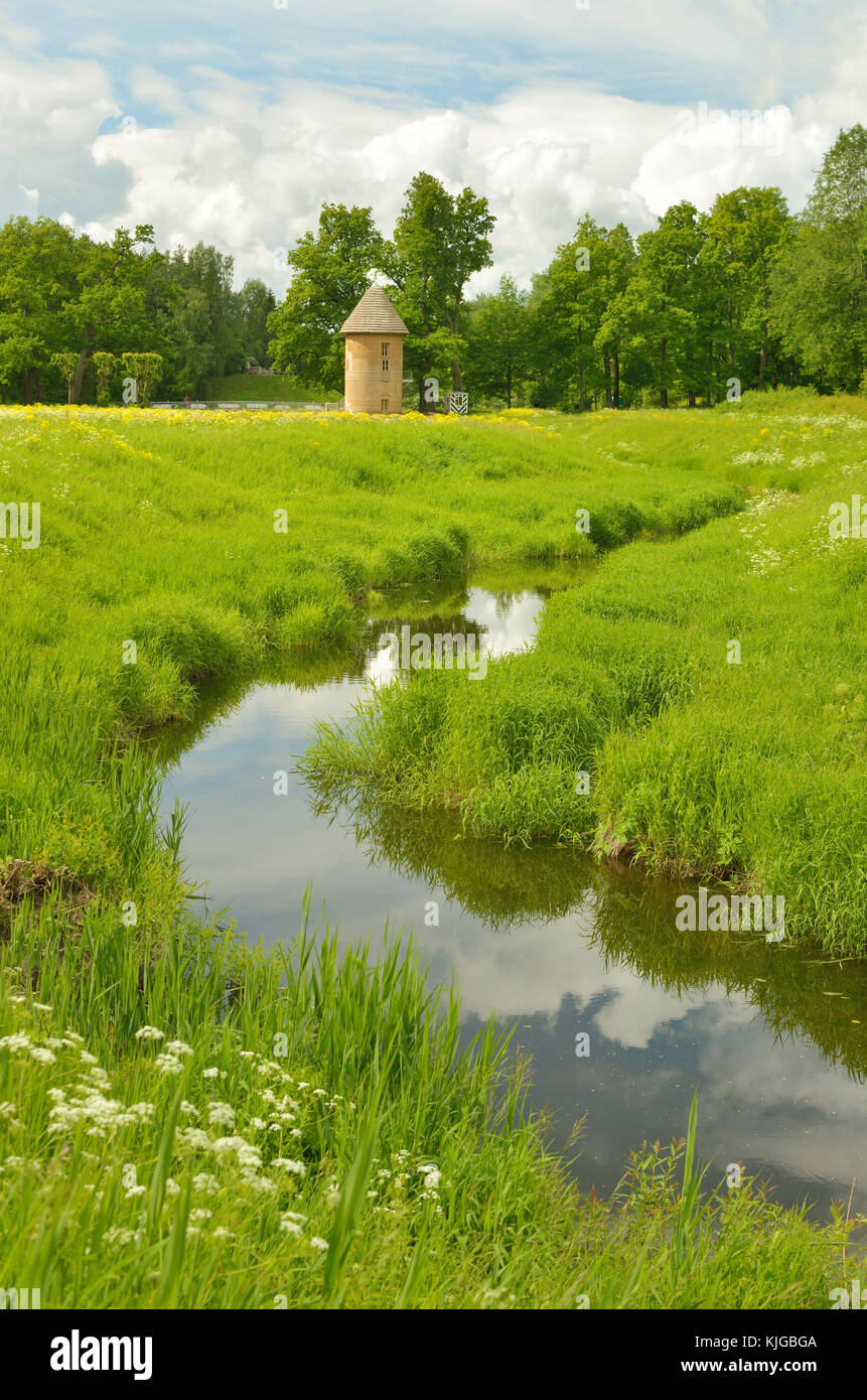 Russia. The Park in Pavlovsk.Natural forest landscape on a bright Sunny ...
