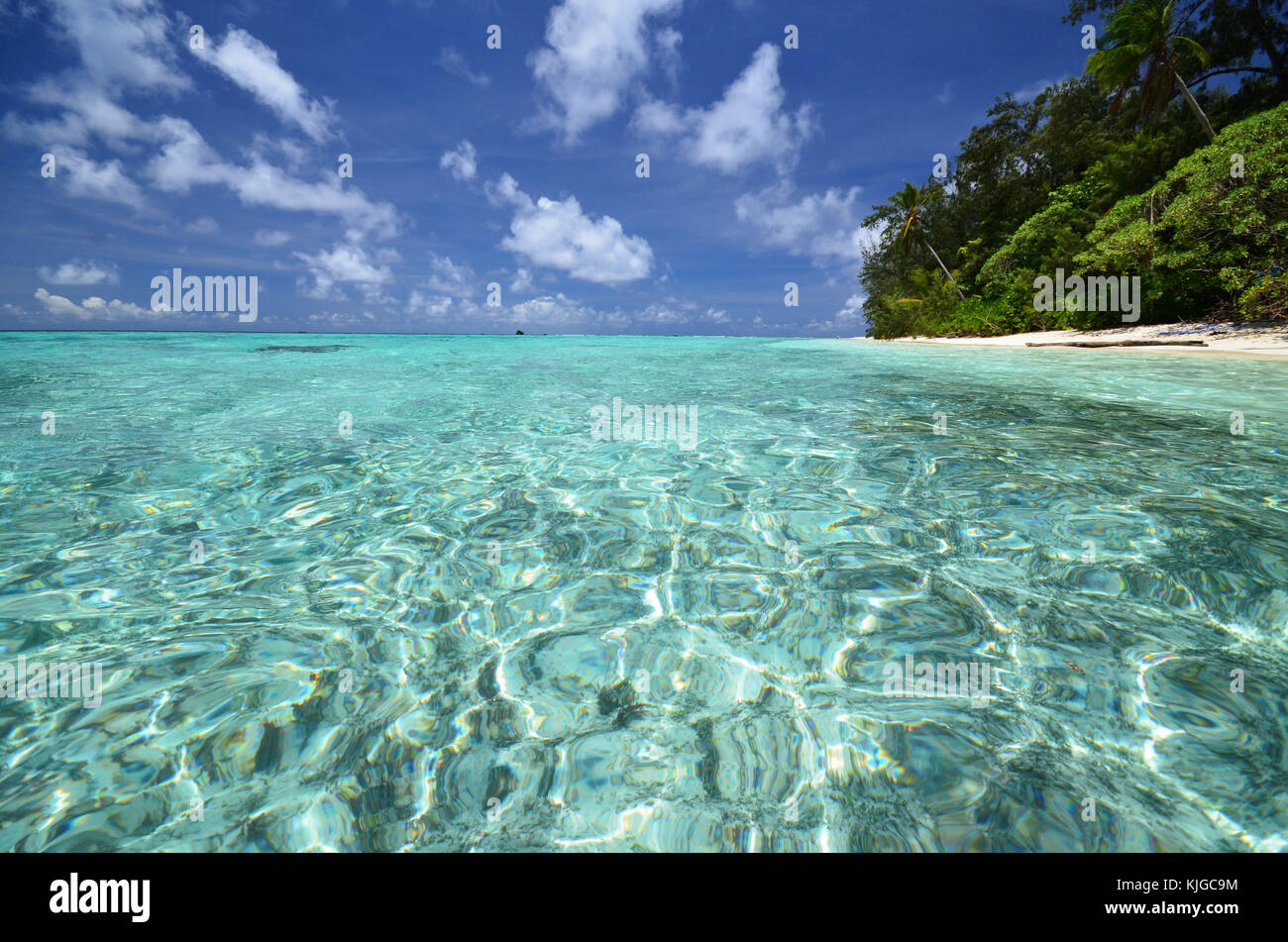 Clear Ocean Aqua Medic Ocean Clear – Reef Secrets