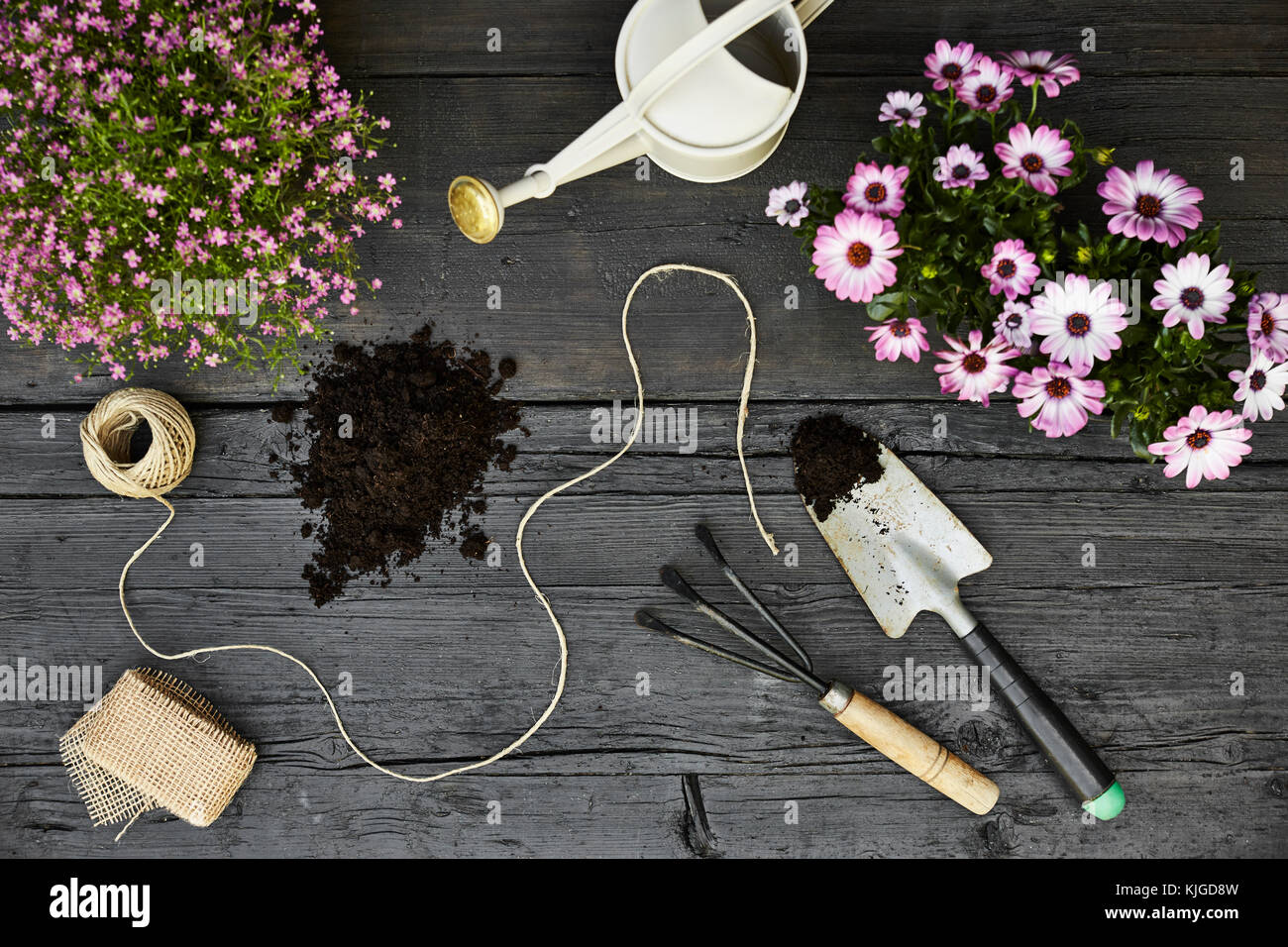 Gardening tools and blooming plants on dark wood Stock Photo - Alamy