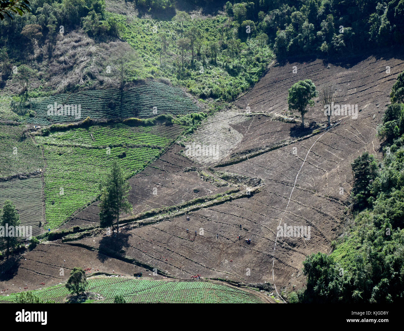 Panama rural hi-res stock photography and images - Alamy