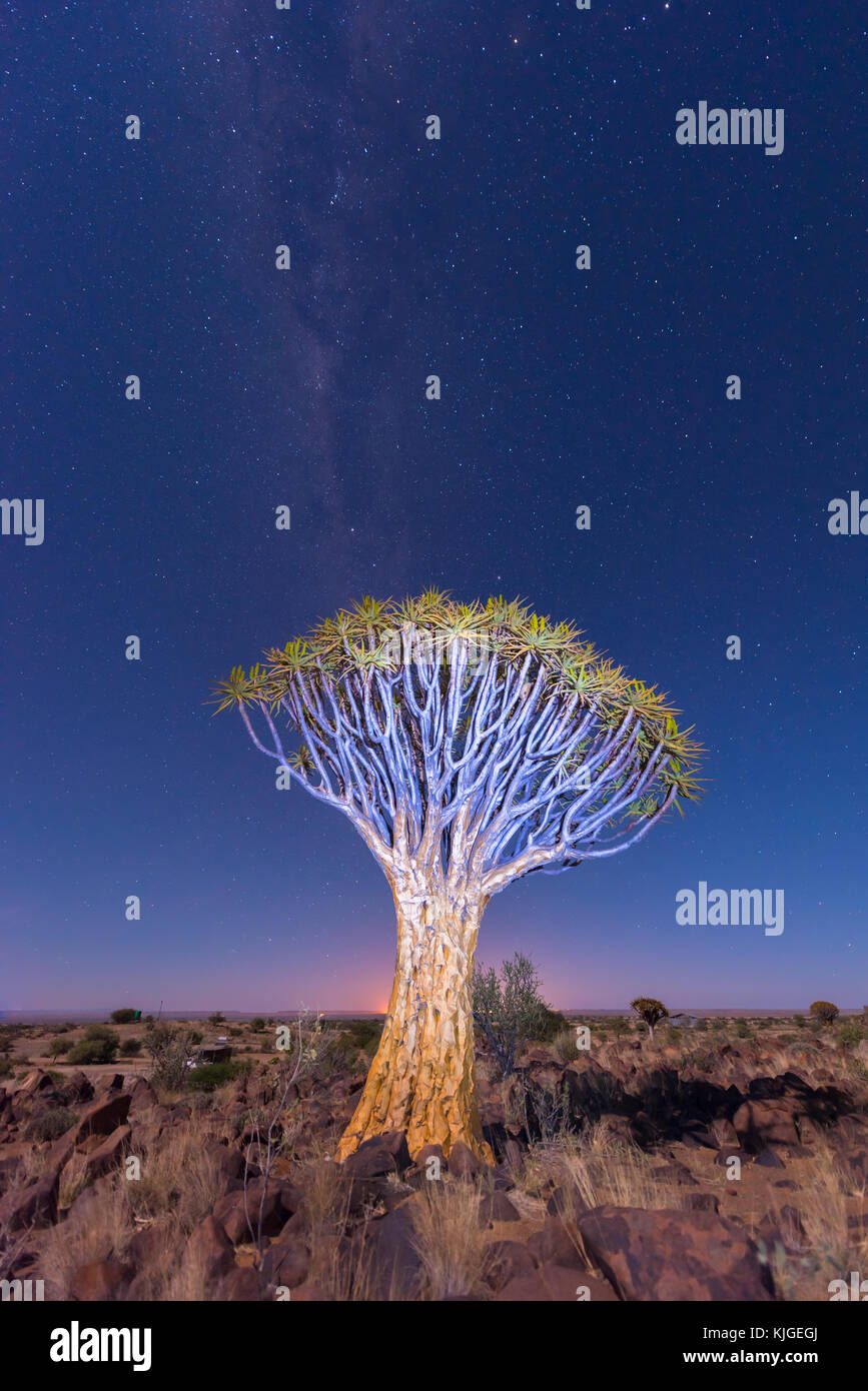 Night of the giants hi-res stock photography and images - Alamy