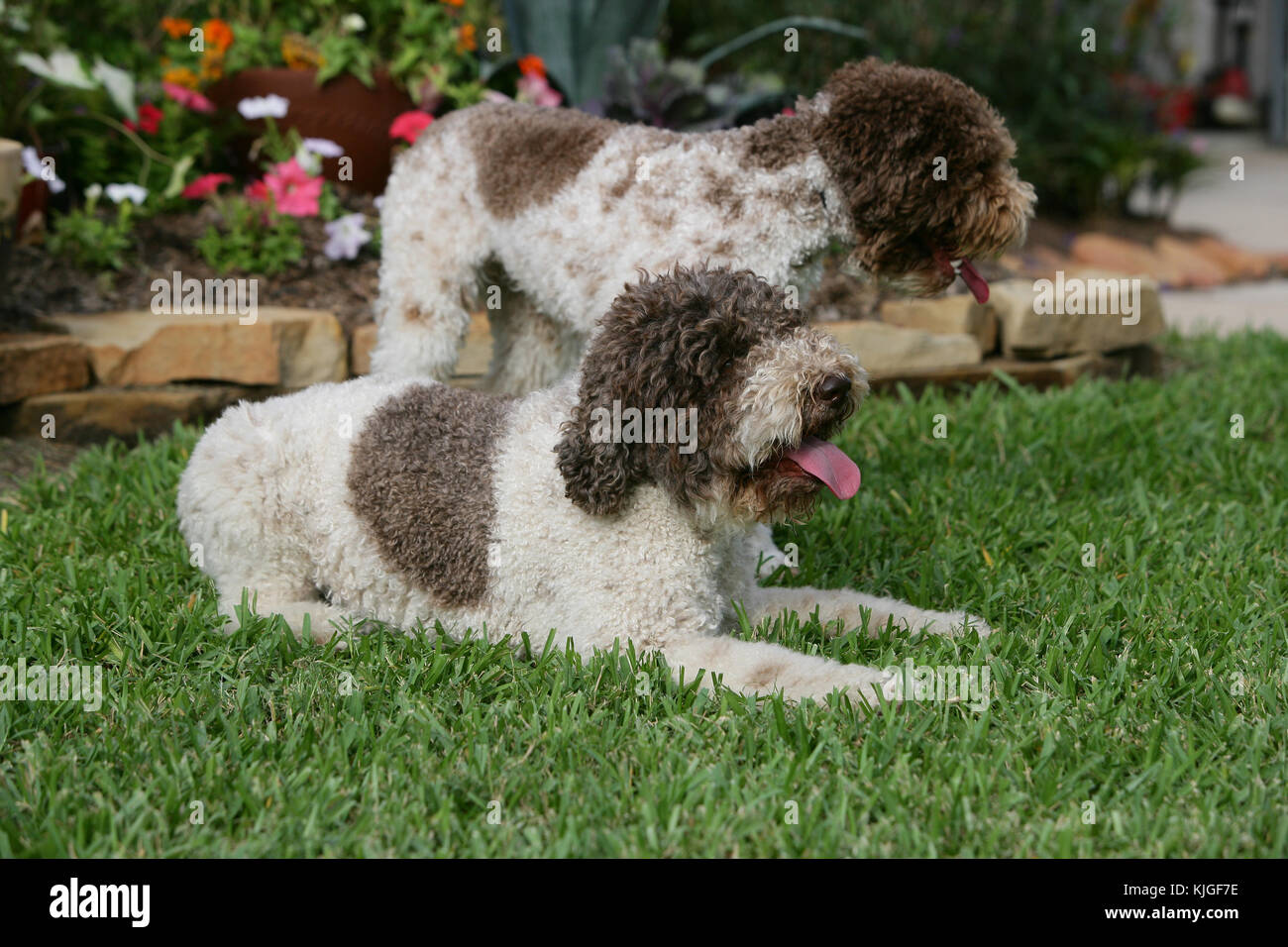 Lying water hi-res stock photography and images - Alamy