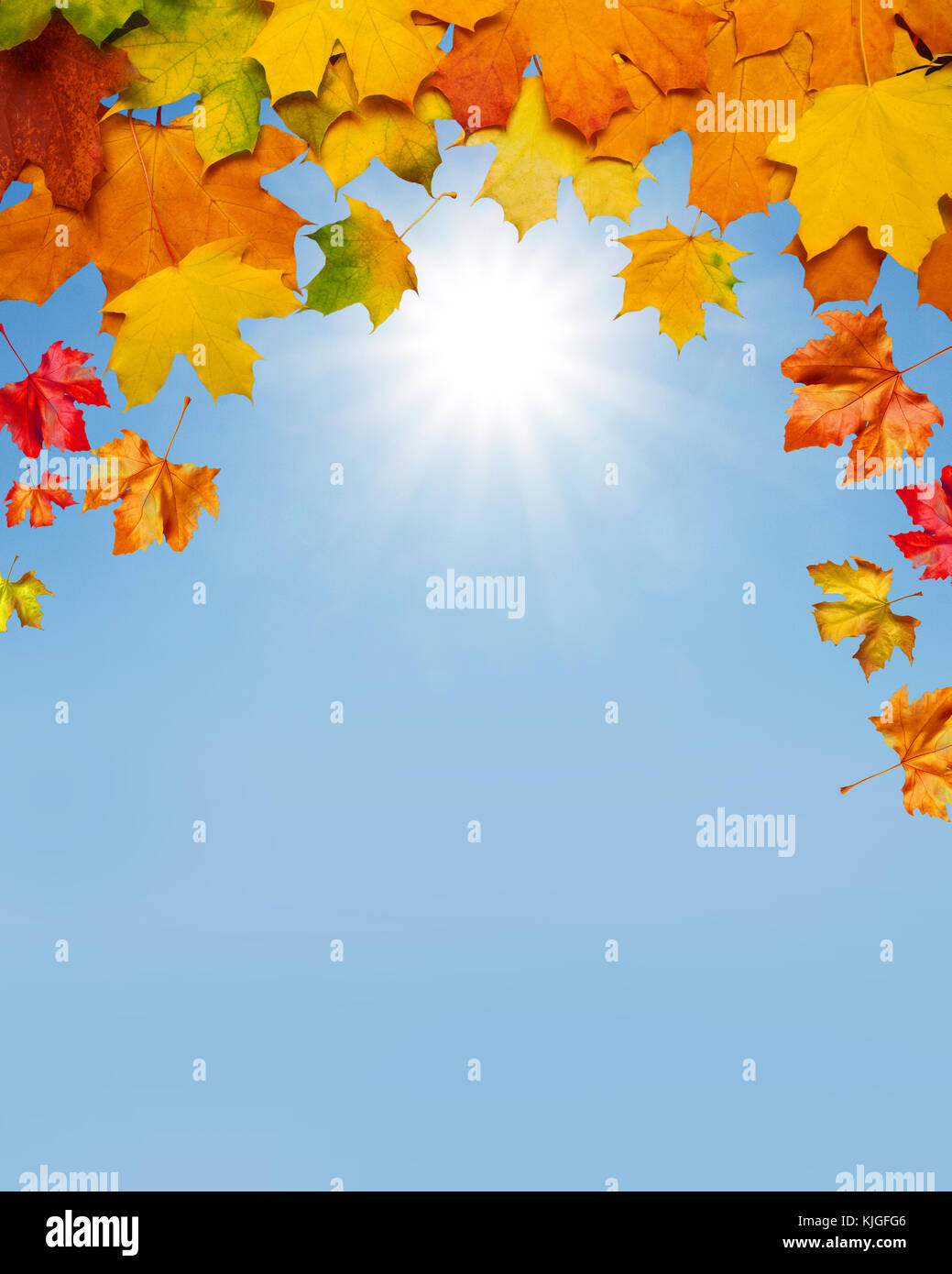 Autumn leaves with the blue sky background Stock Photo - Alamy
