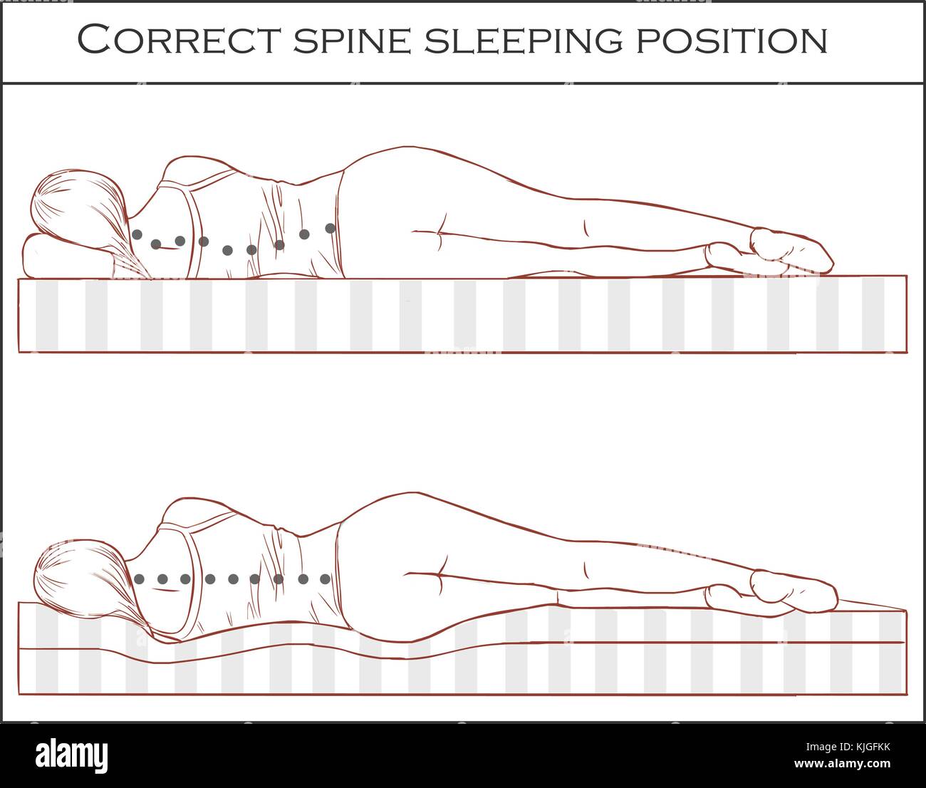 Correct spine sleeping position Stock Vector Image & Art - Alamy