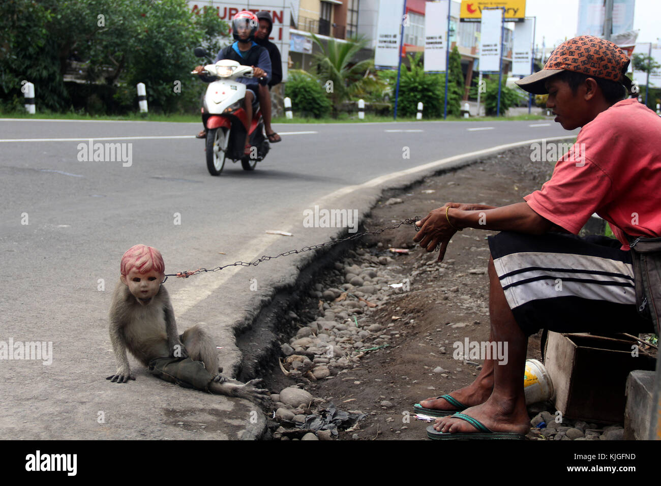 Boyolali, Indonesia. 23rd Nov, 2017. A long-tailed monkey, wearing ...