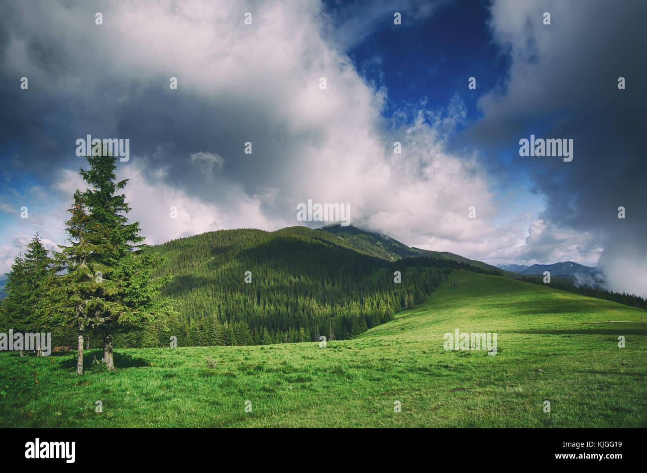 Carpathian mountain landscape Stock Photo - Alamy