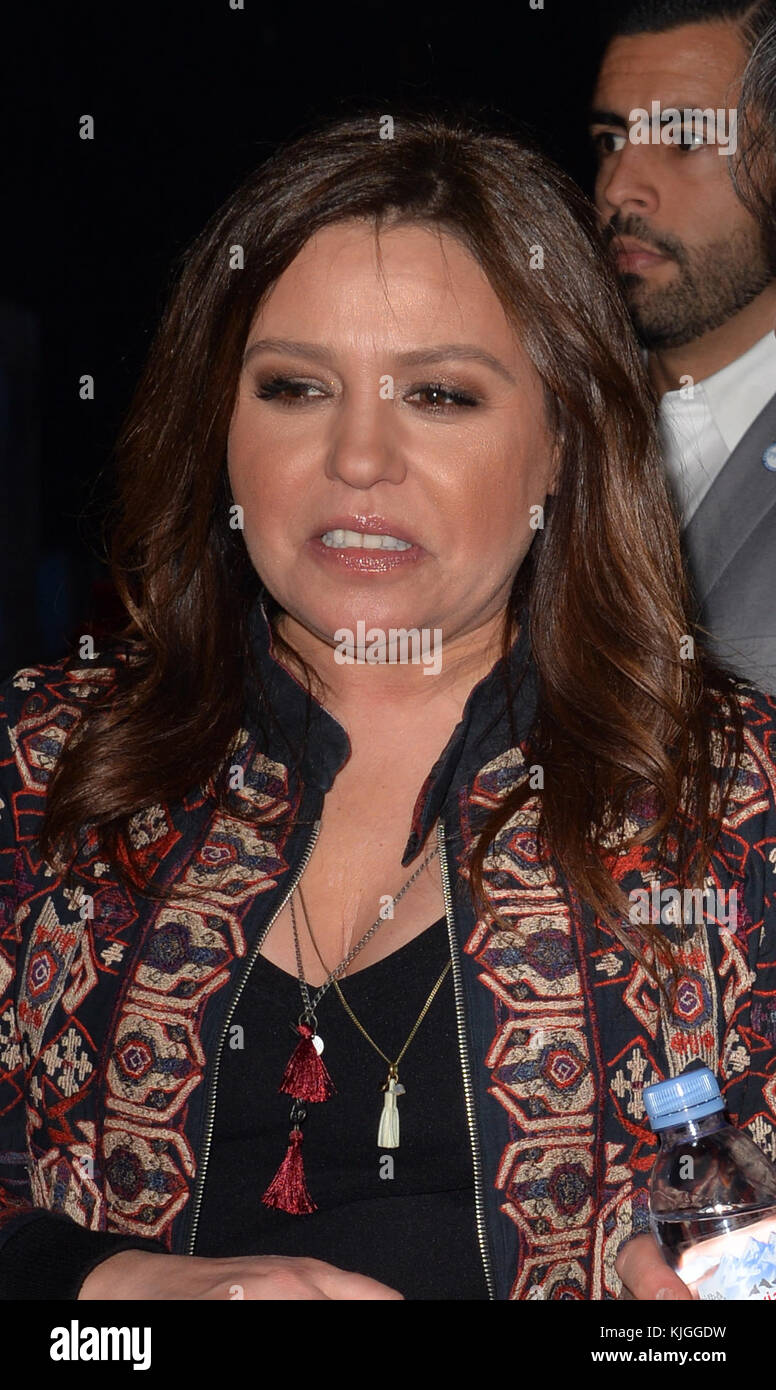 MIAMI BEACH, FL - FEBRUARY 26: Celebrity cook and author Rachael Ray ...