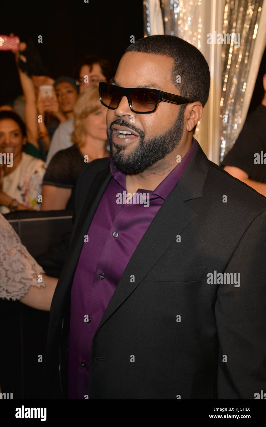 Ride Along Ice Cube Sunglasses