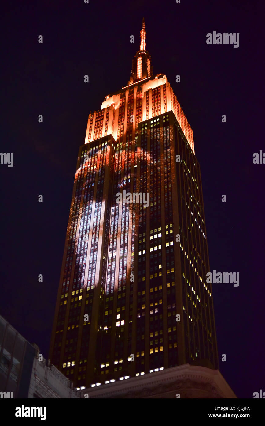 Animal projection show hi-res stock photography and images - Alamy