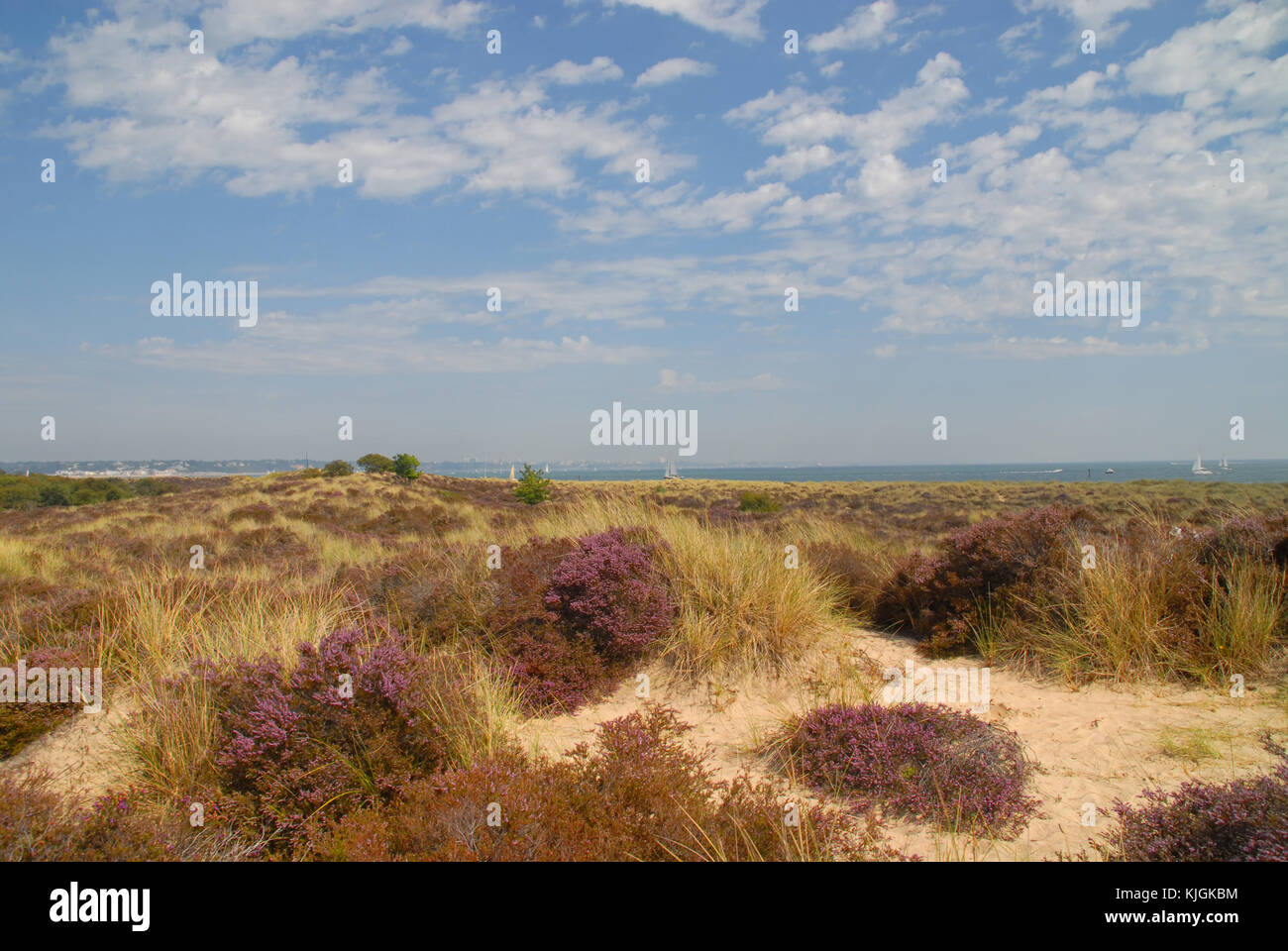 Heather sand hi-res stock photography and images - Alamy