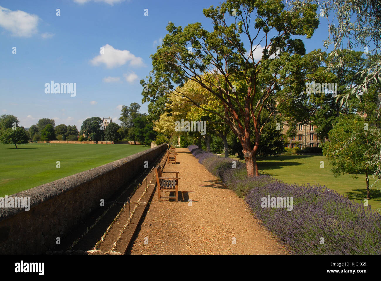 Merton field hi-res stock photography and images - Alamy