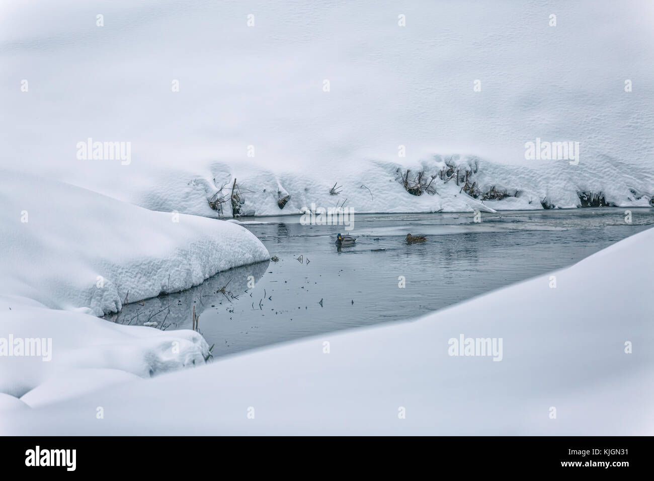 Snowy landscape still rural lake hi-res stock photography and images ...