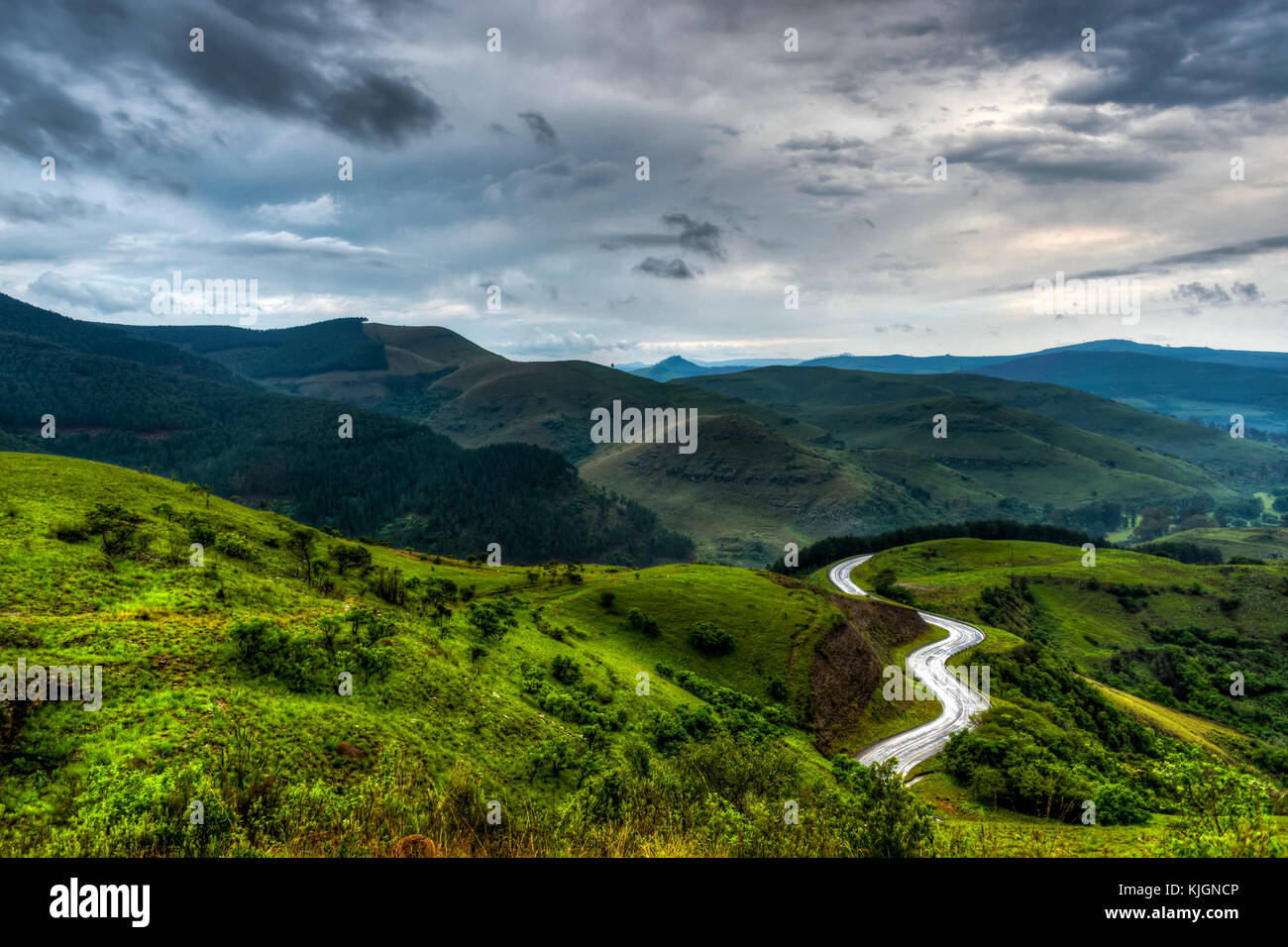 Driving through the hills of Sabie in South Africa Stock Photo - Alamy