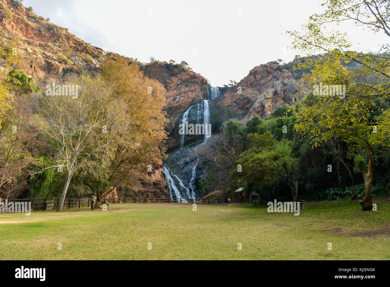 Walter sisulu national botanical garden hi-res stock photography and ...