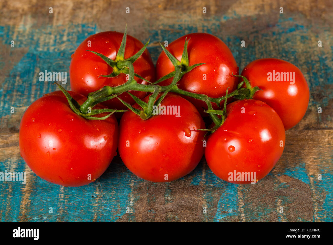 Vine with red ripe tomatoes from Dutch greenhouse, close up copy space ...