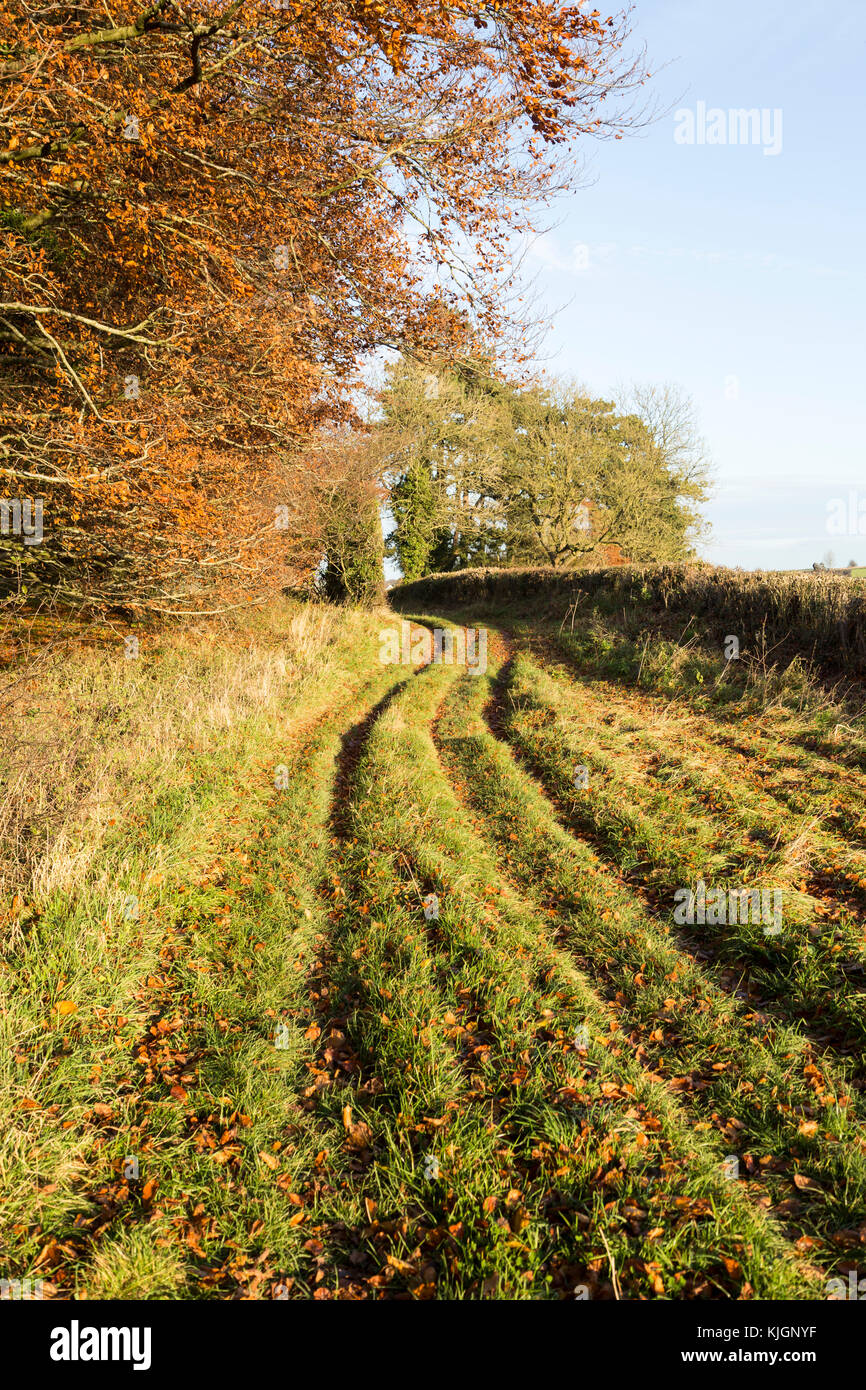 Rutted Stock Photos & Rutted Stock Images - Alamy